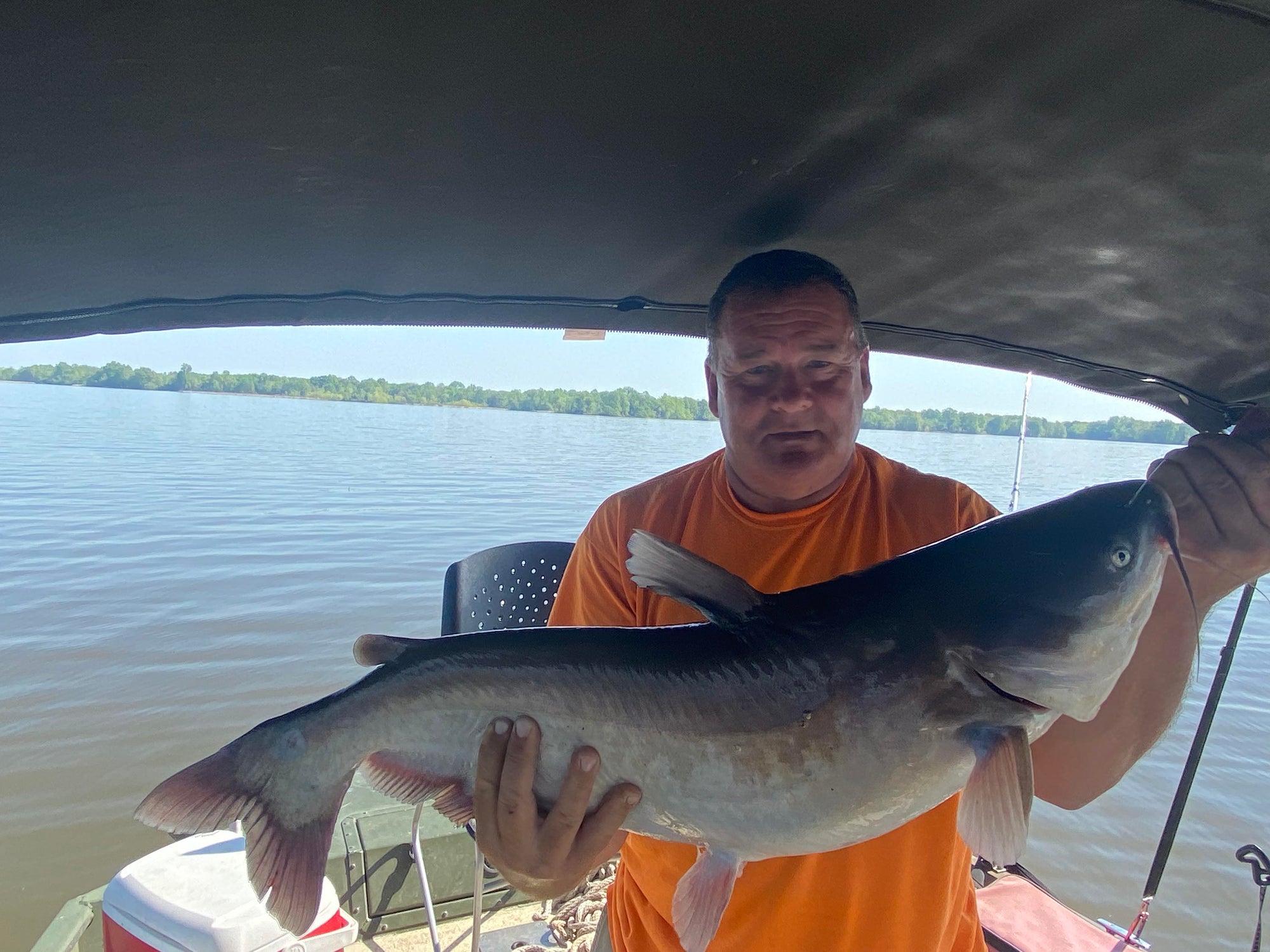 B-Kat Boards, Strong Planer Boards Made in the USA